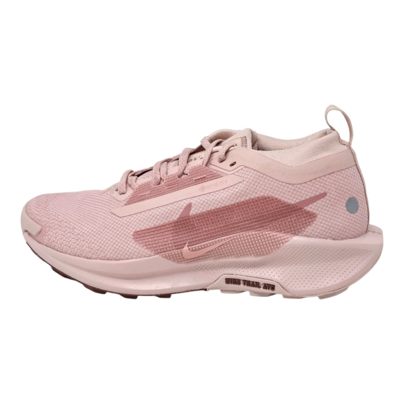 Nike | Shoes | New Nike Pegasus Trail 5 Gtx Pink Oxford Fq92601 Womens ...